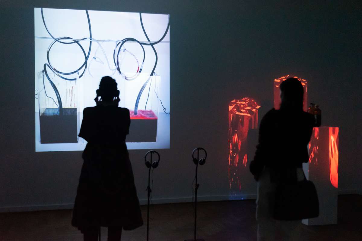 Jasna Hribernik • MGML