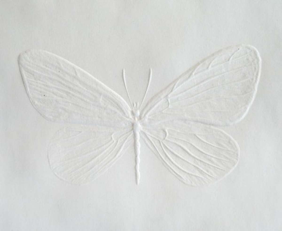 Touching Compulsory - Bugs for Blind and Vision Impaired • MGML